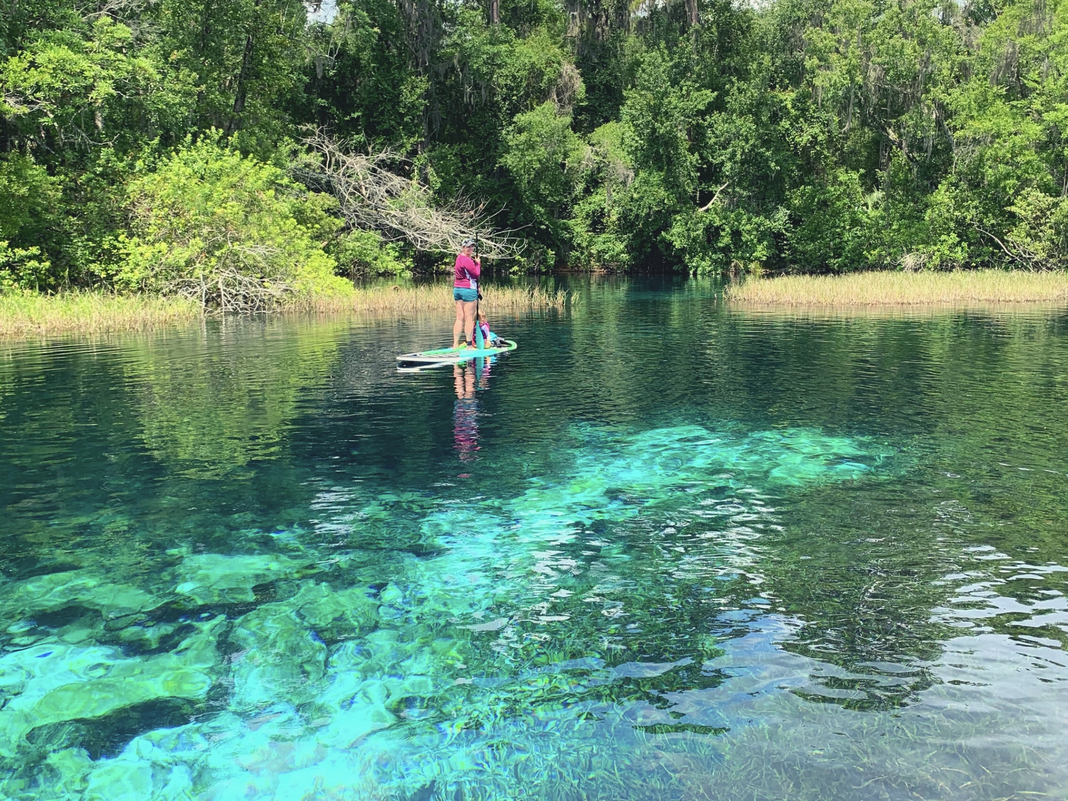 Florida Paddling Adventure Rainbow River Adventure Seeking Mom